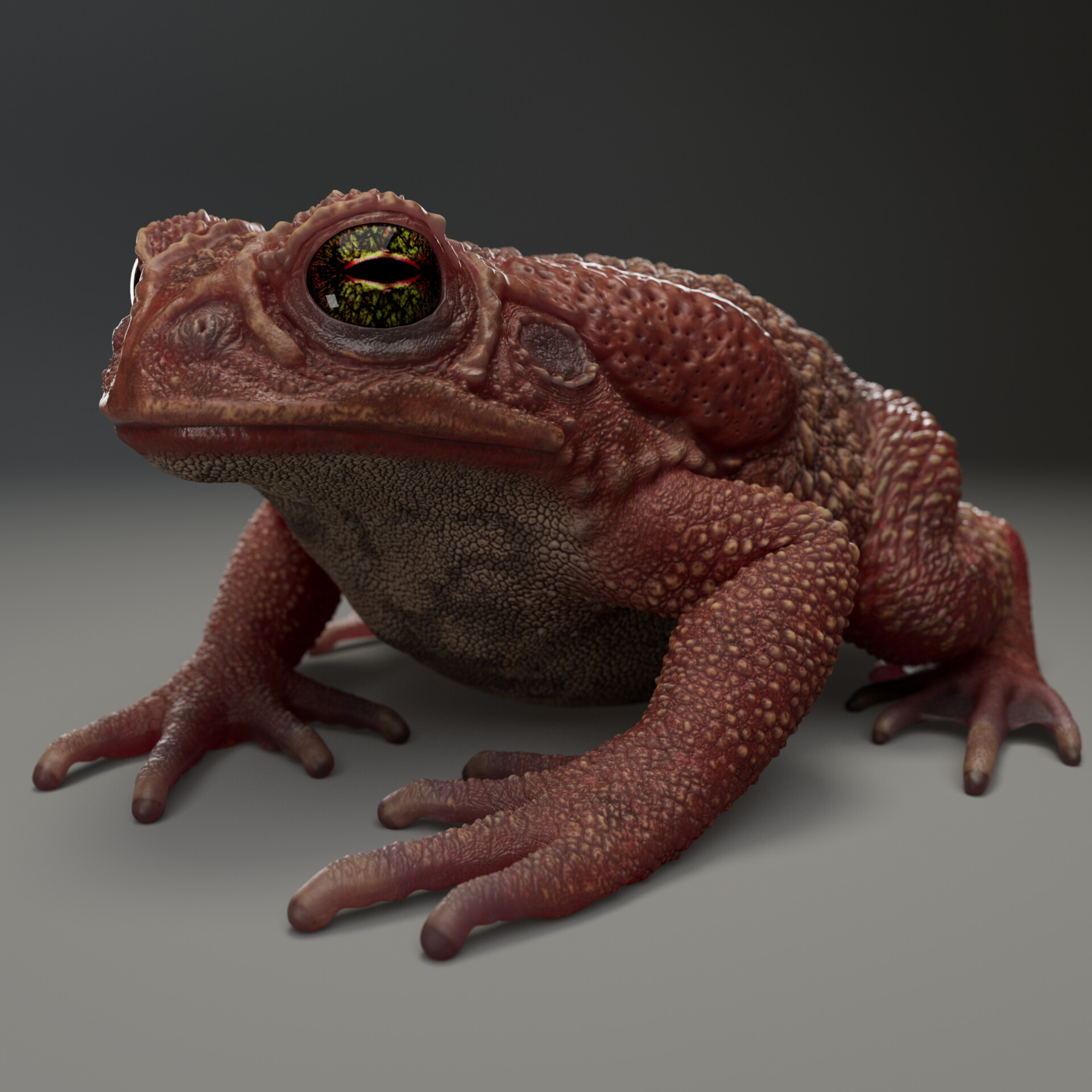 ArtStation - Alchemist's Toad