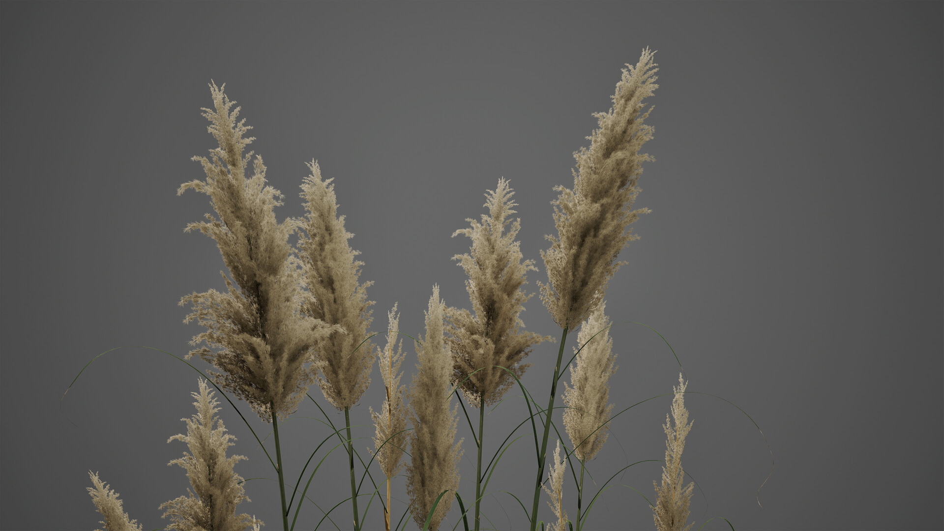 ArtStation - Pampas Grass Pond