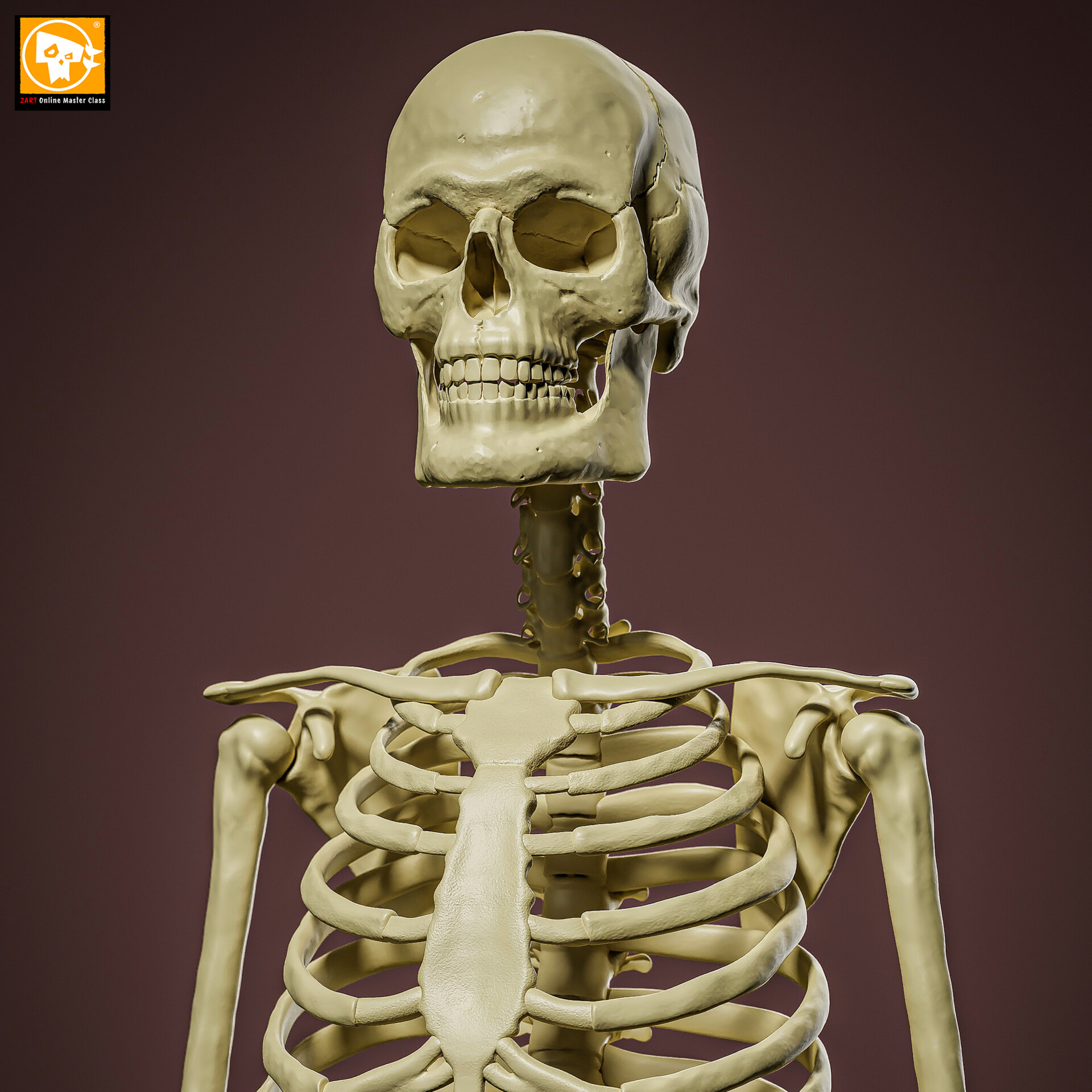 ArtStation - "Skeleton Study"
