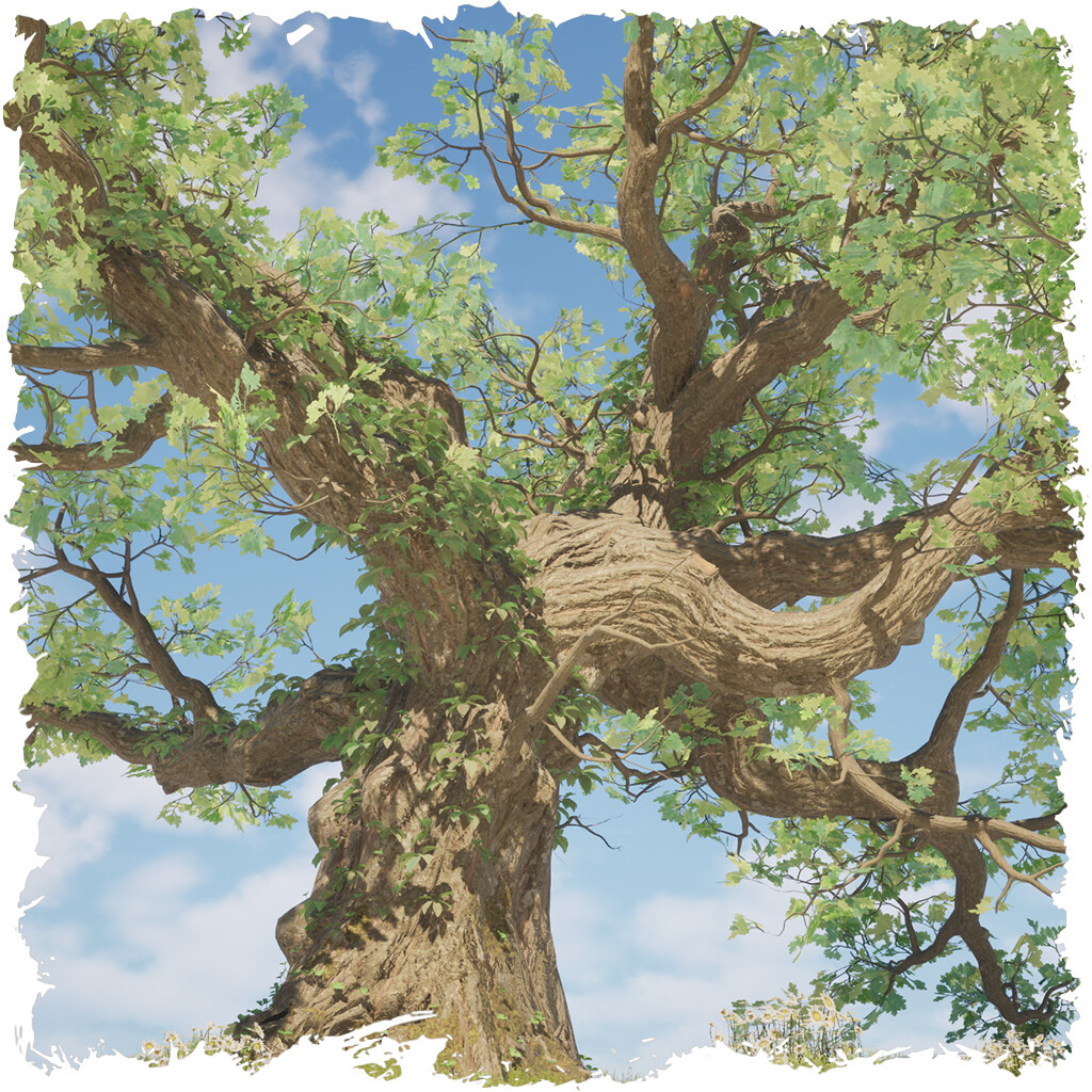 ArtStation - Oak Tree