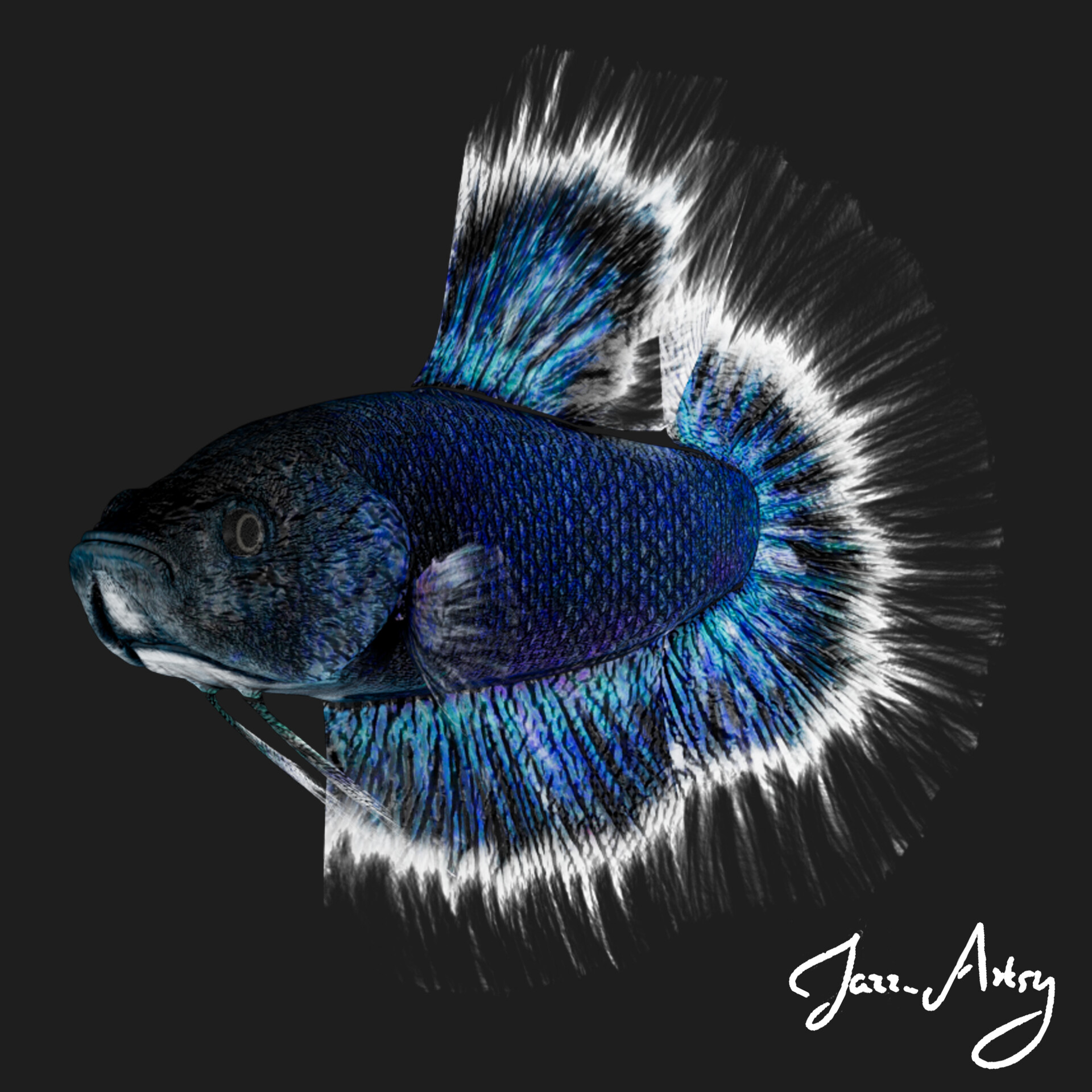 ArtStation - BETTA FISH