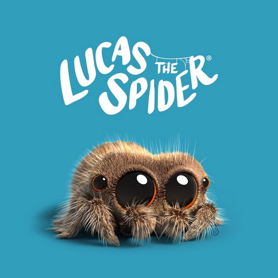 ArtStation - Lucas the Spider