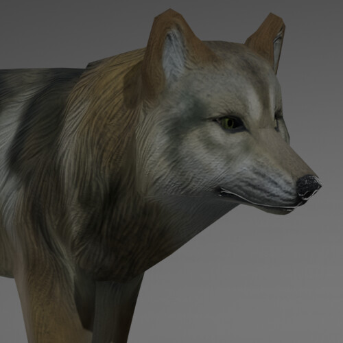 ArtStation - Low/Mid-Poly Animal Modelling - Wolf