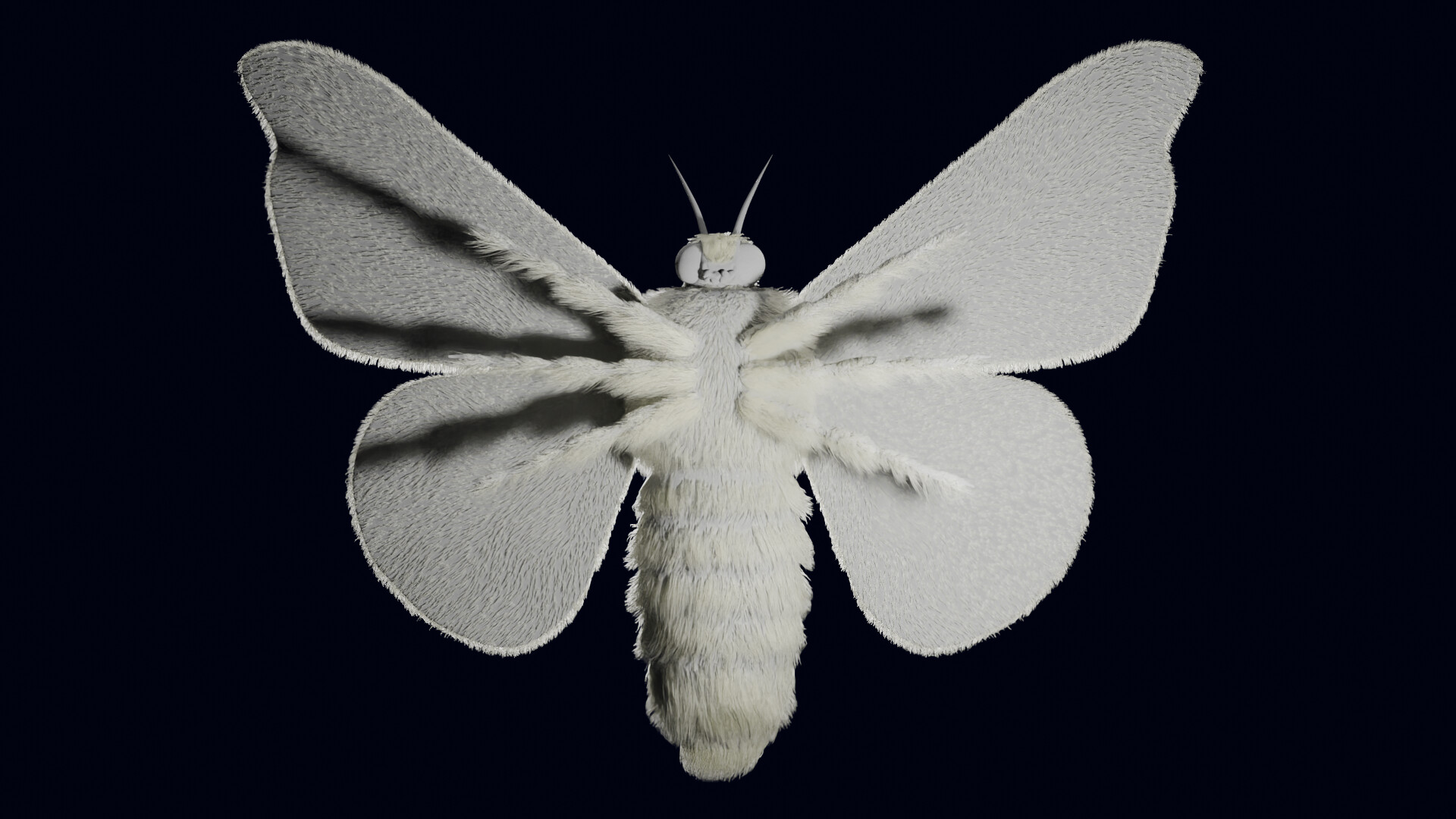 ArtStation - Bombyx Mori (simply hairy flying poodle)