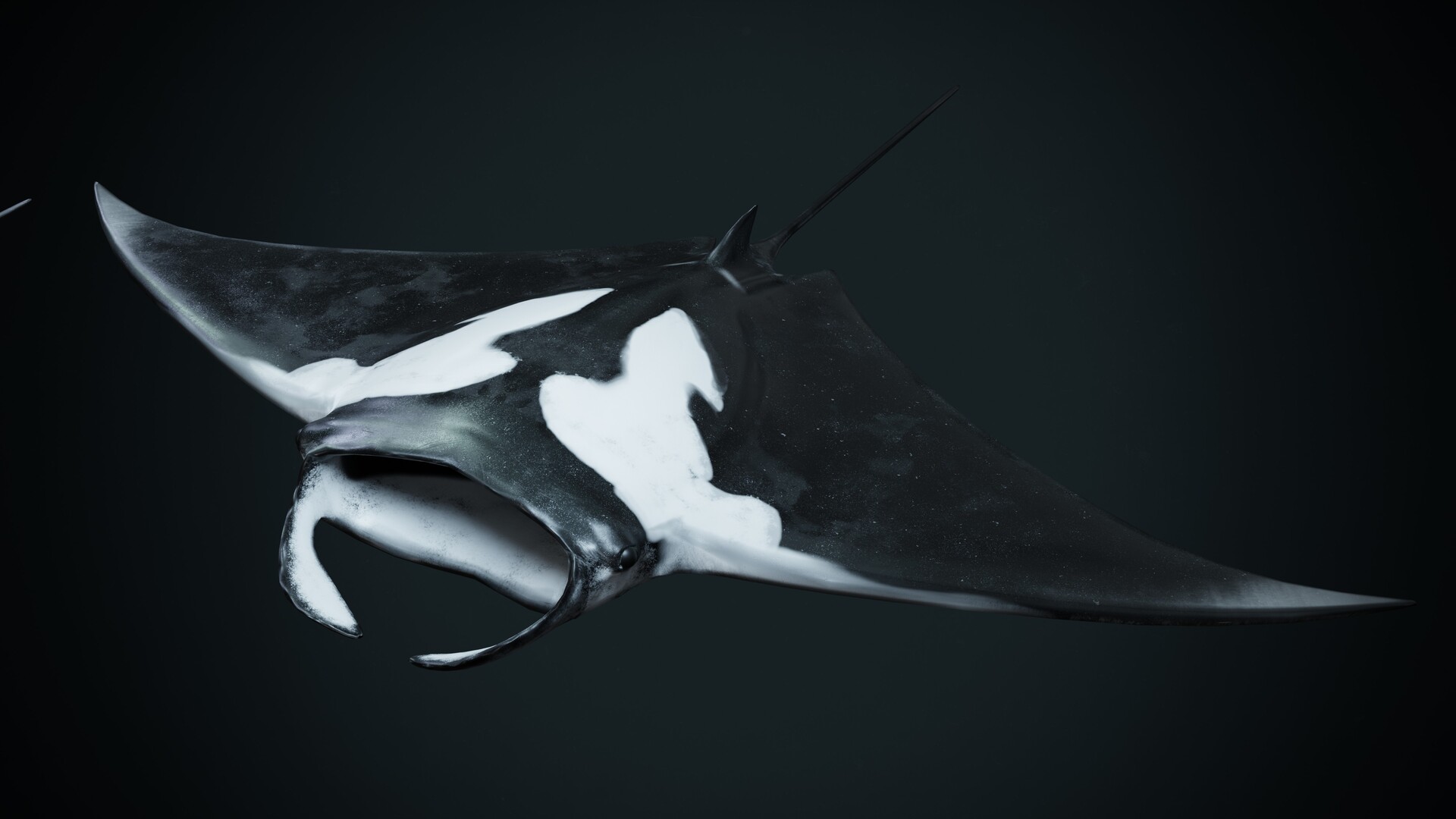 ArtStation - Manta Rays 3D