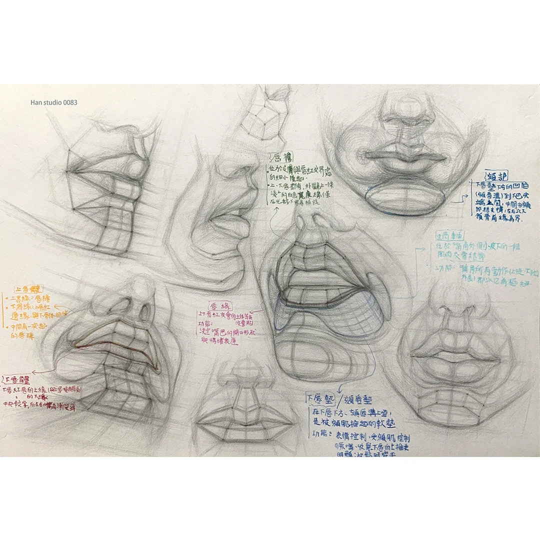 ArtStation - From Vermilion to Volume: Lip Structure Study