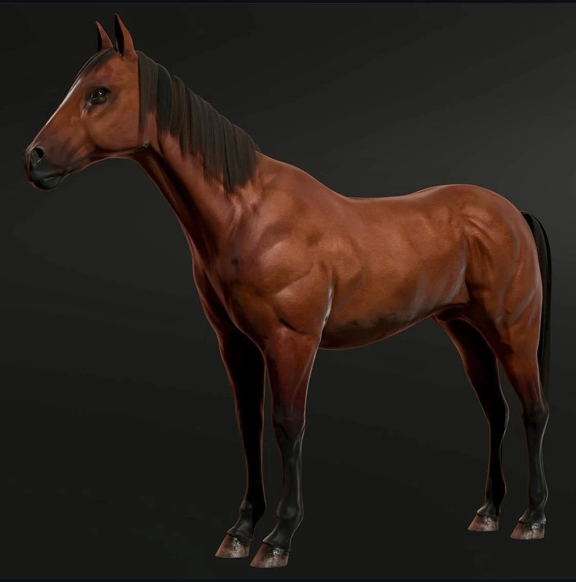 ArtStation - Brown Horse