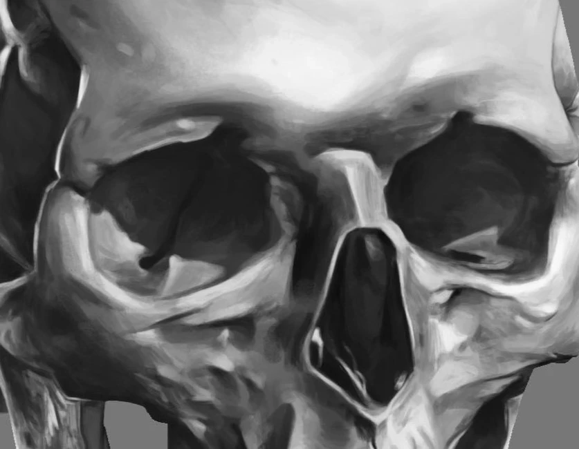 ArtStation - Skull study
