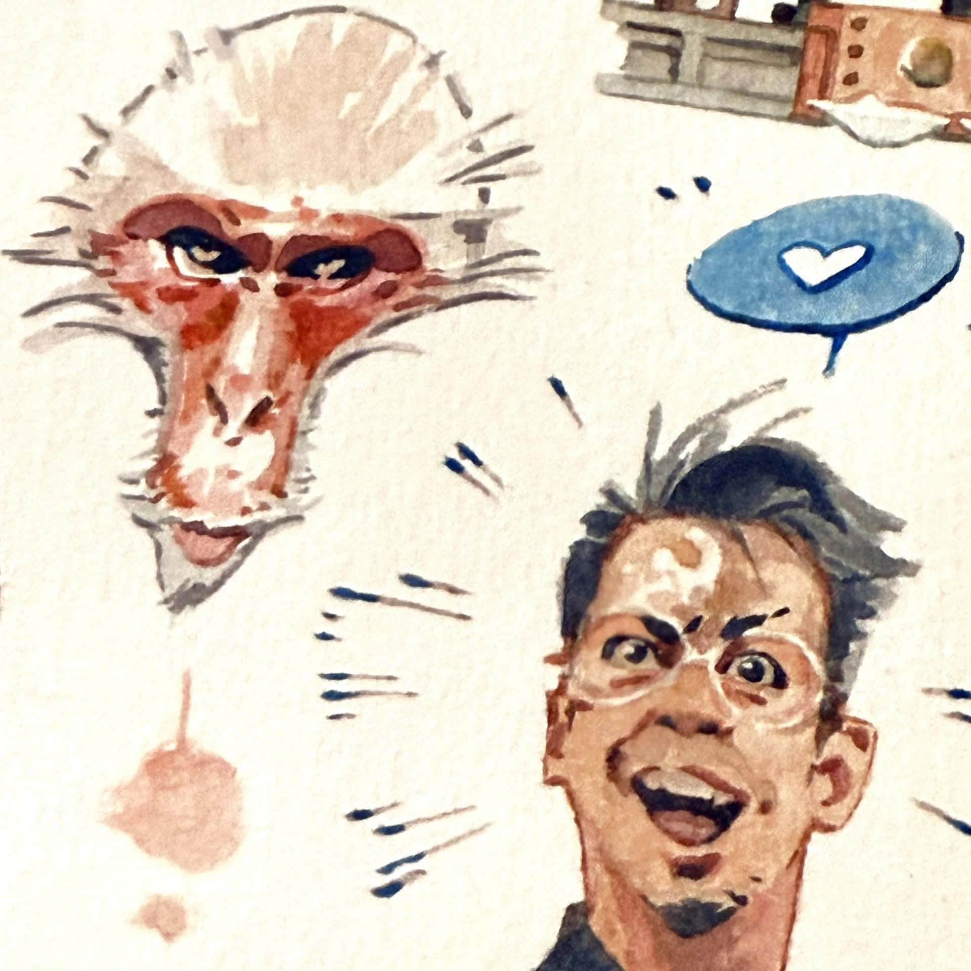 ArtStation - Monkey! - Practice Sketchbook