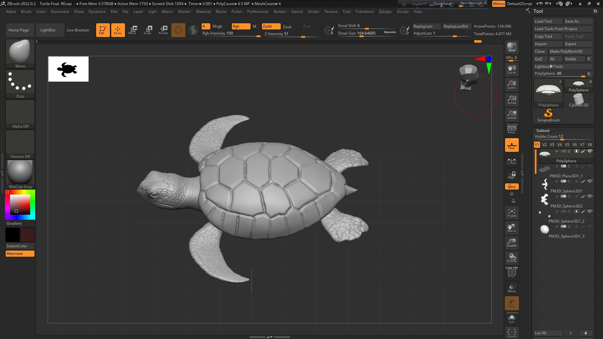 ArtStation - Turtle Complete High Poly