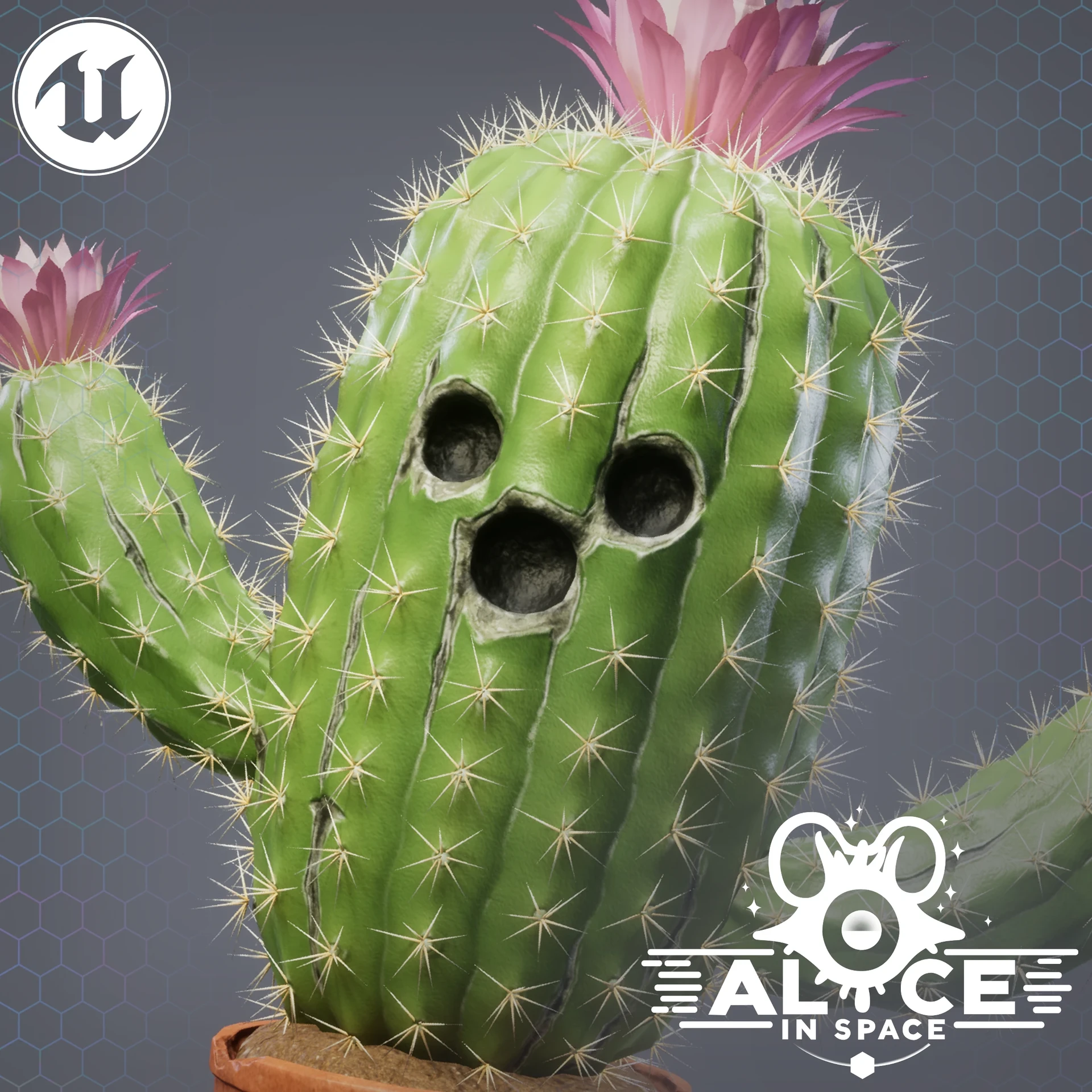 ArtStation - Cactus | Alice in Space