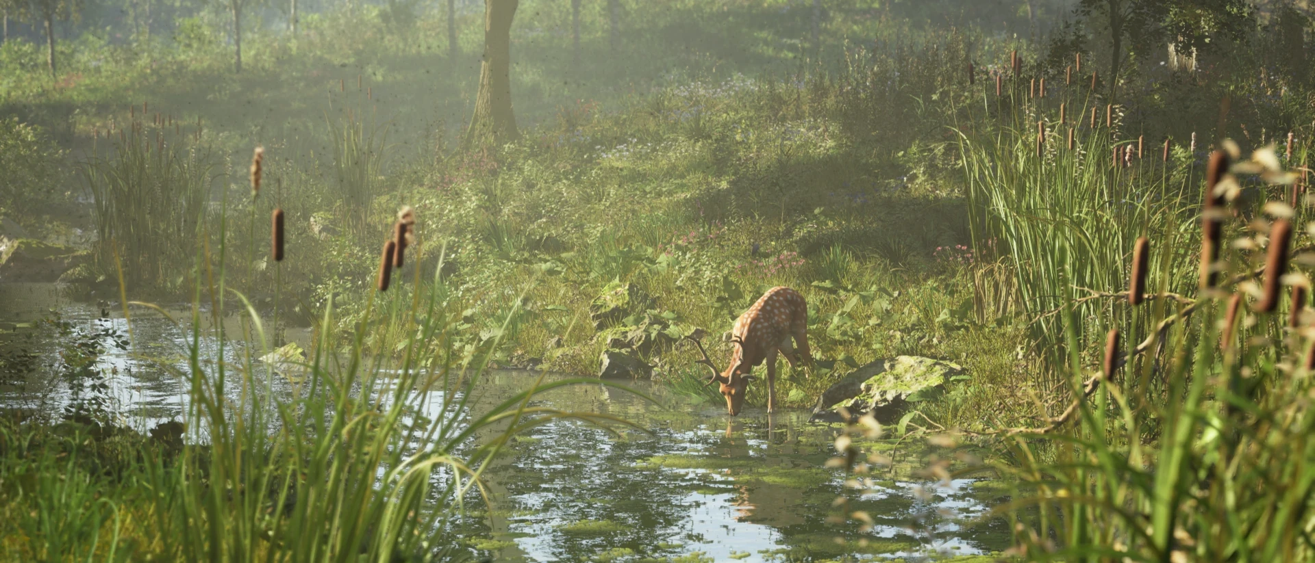 ArtStation - The Forest