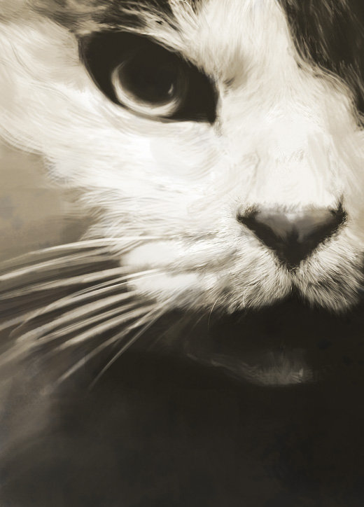 ArtStation - Cat macro