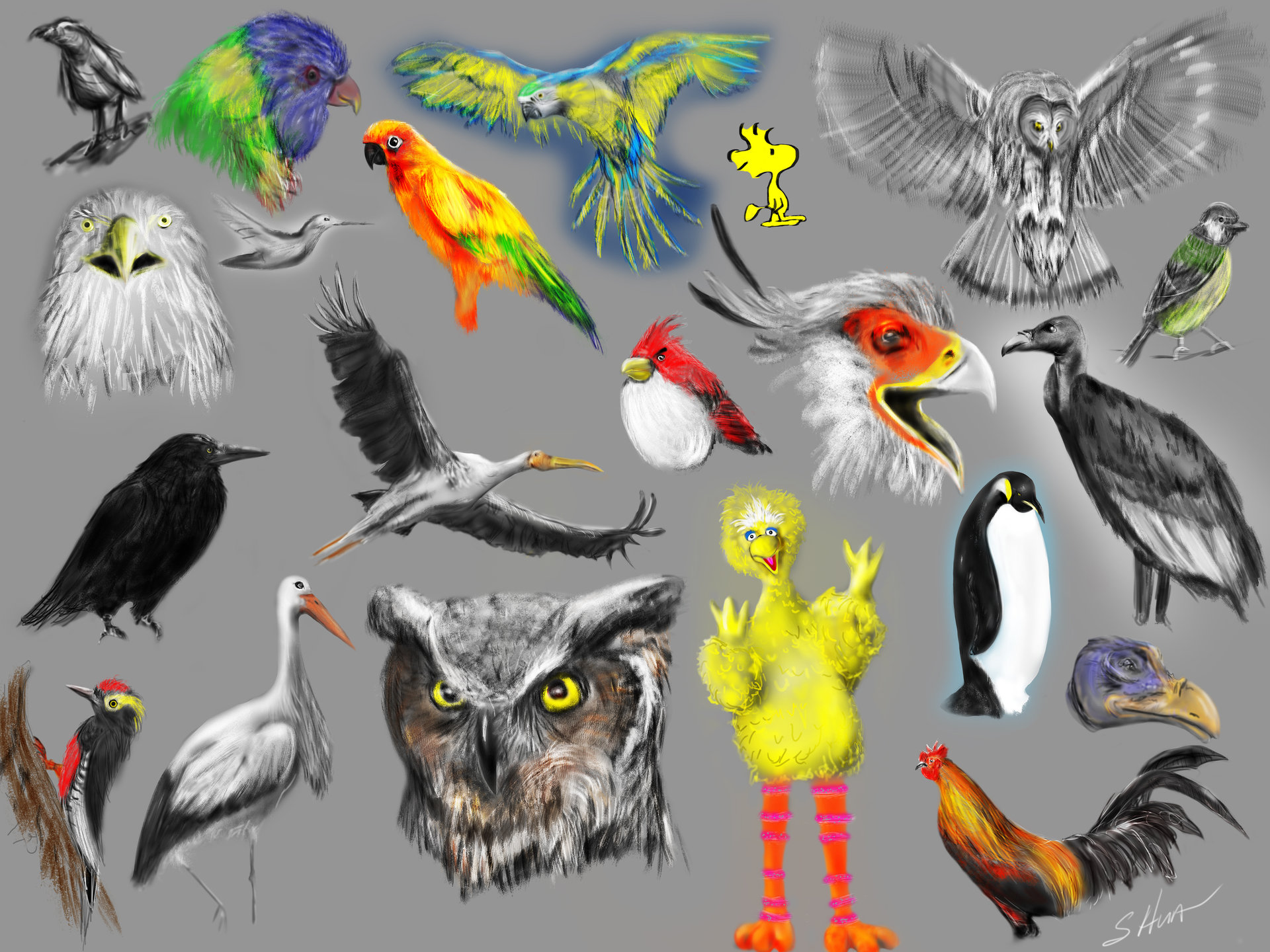 ArtStation - Birds