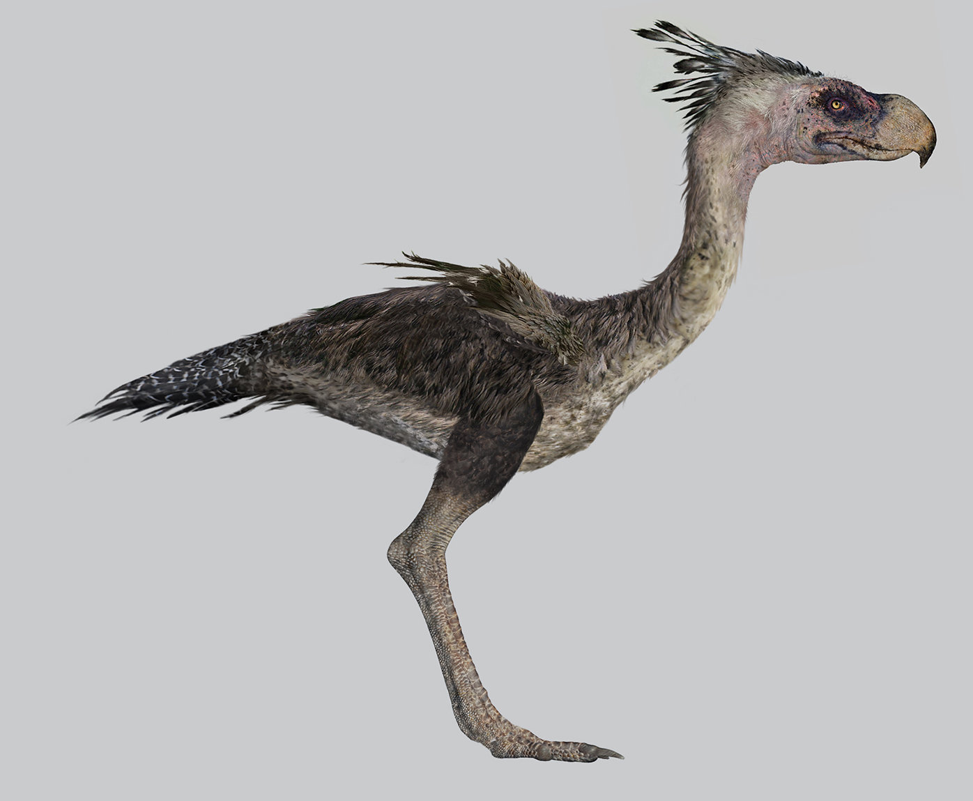 Primeval Terror Birds