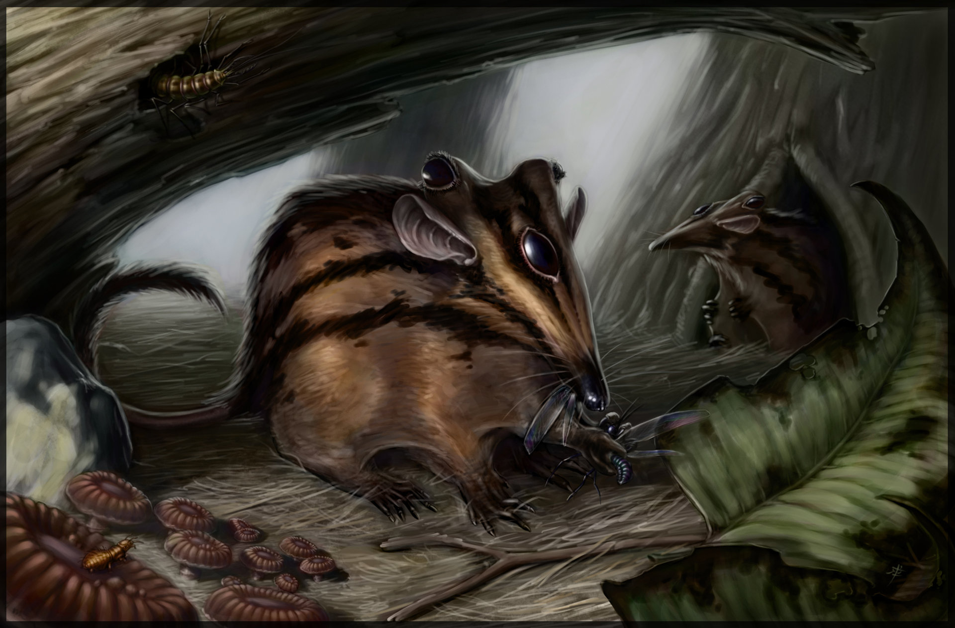 ArtStation - Triclops soricinae