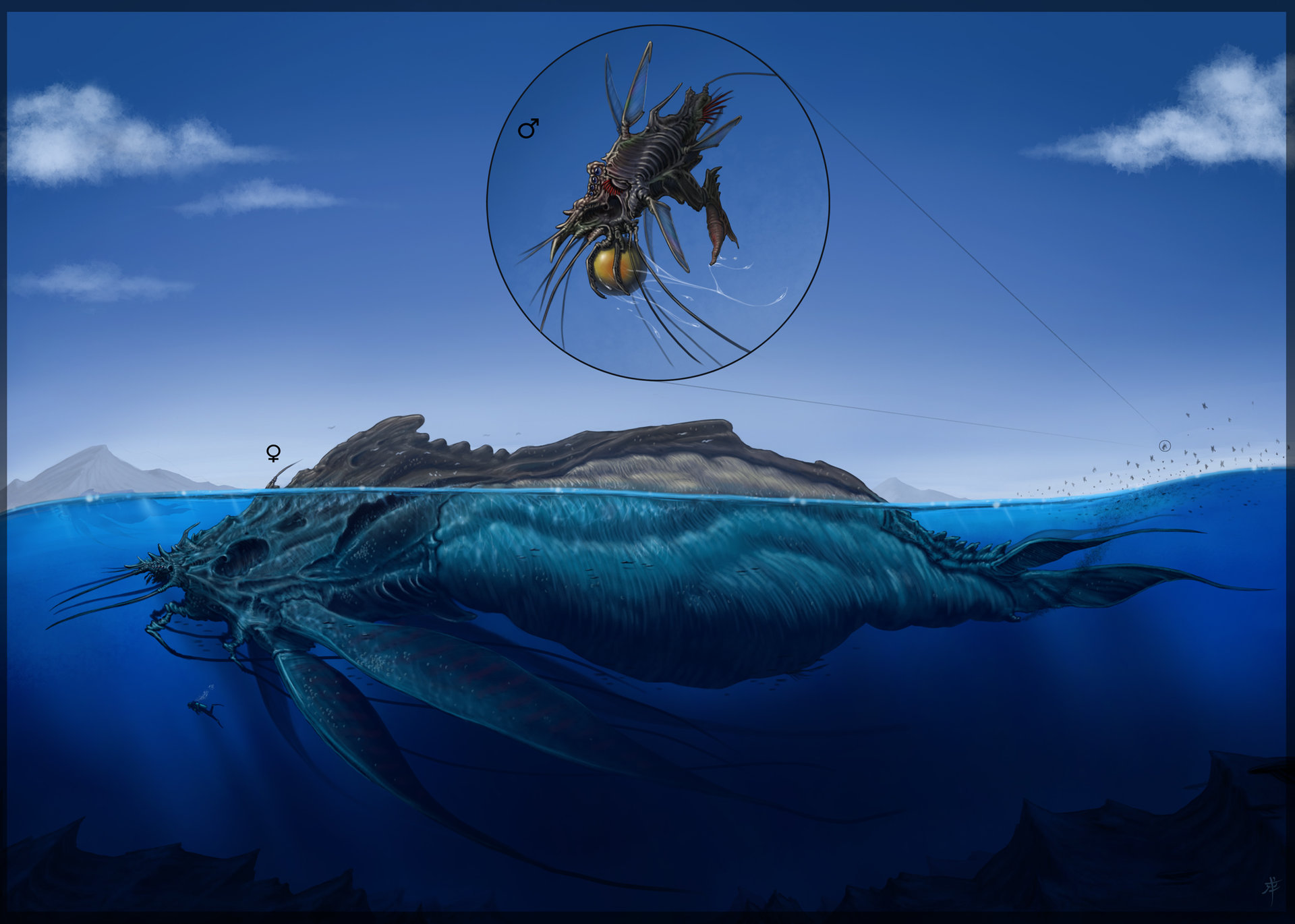 Greater Mountainback & Lesser Sea Gnat by Robert Powell : r ...