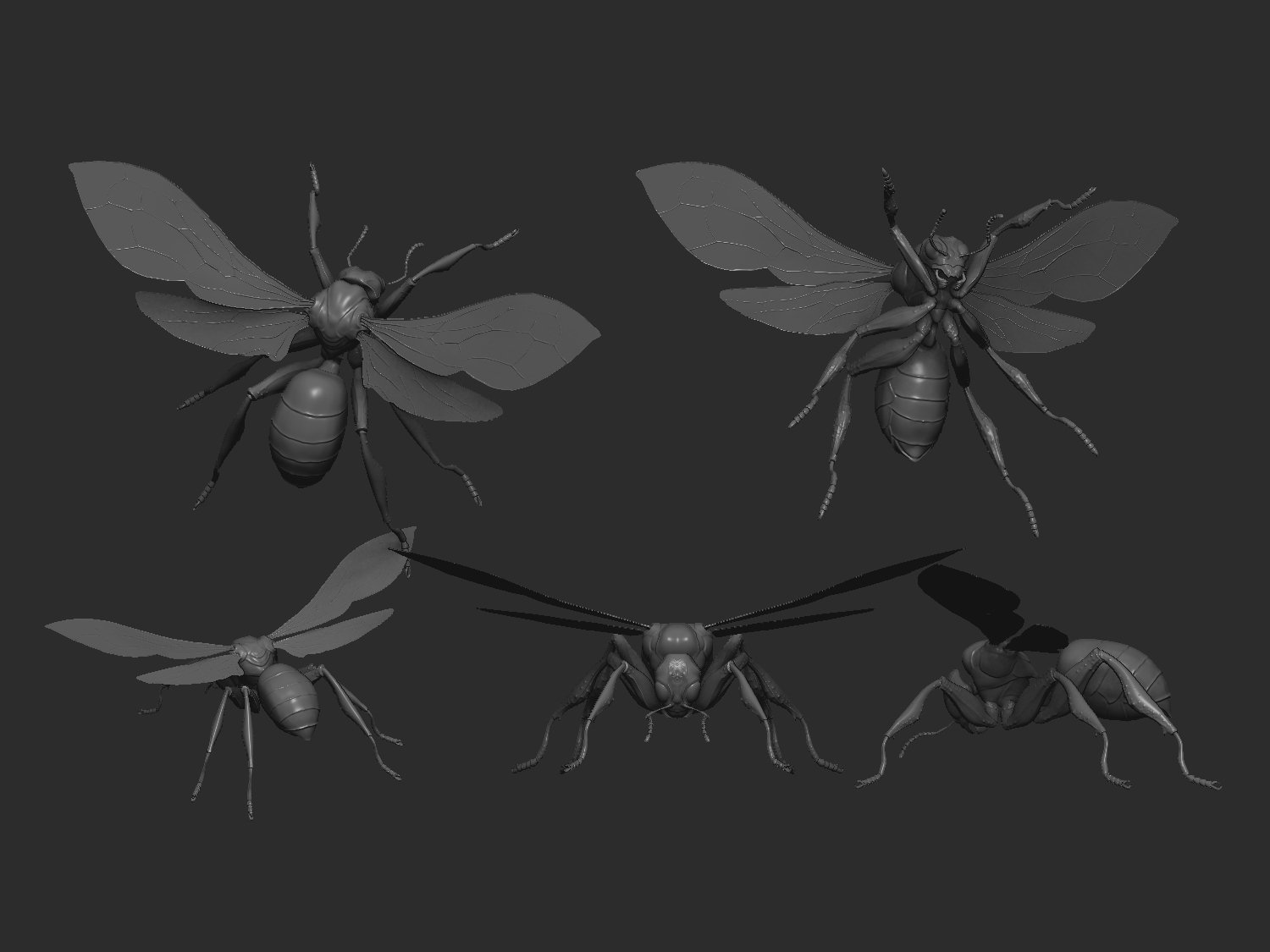 Jorge Castillo - Insect Studio