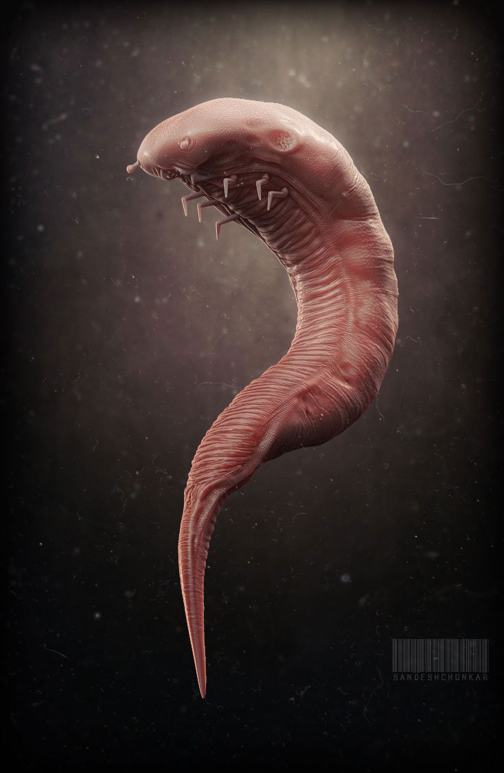 ArtStation - worm (quick sketch)