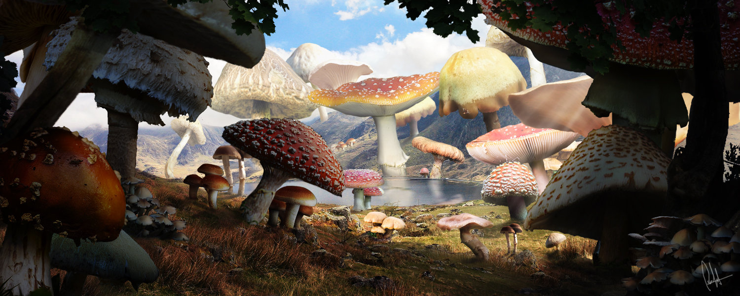 ArtStation - Mundo de Hongos