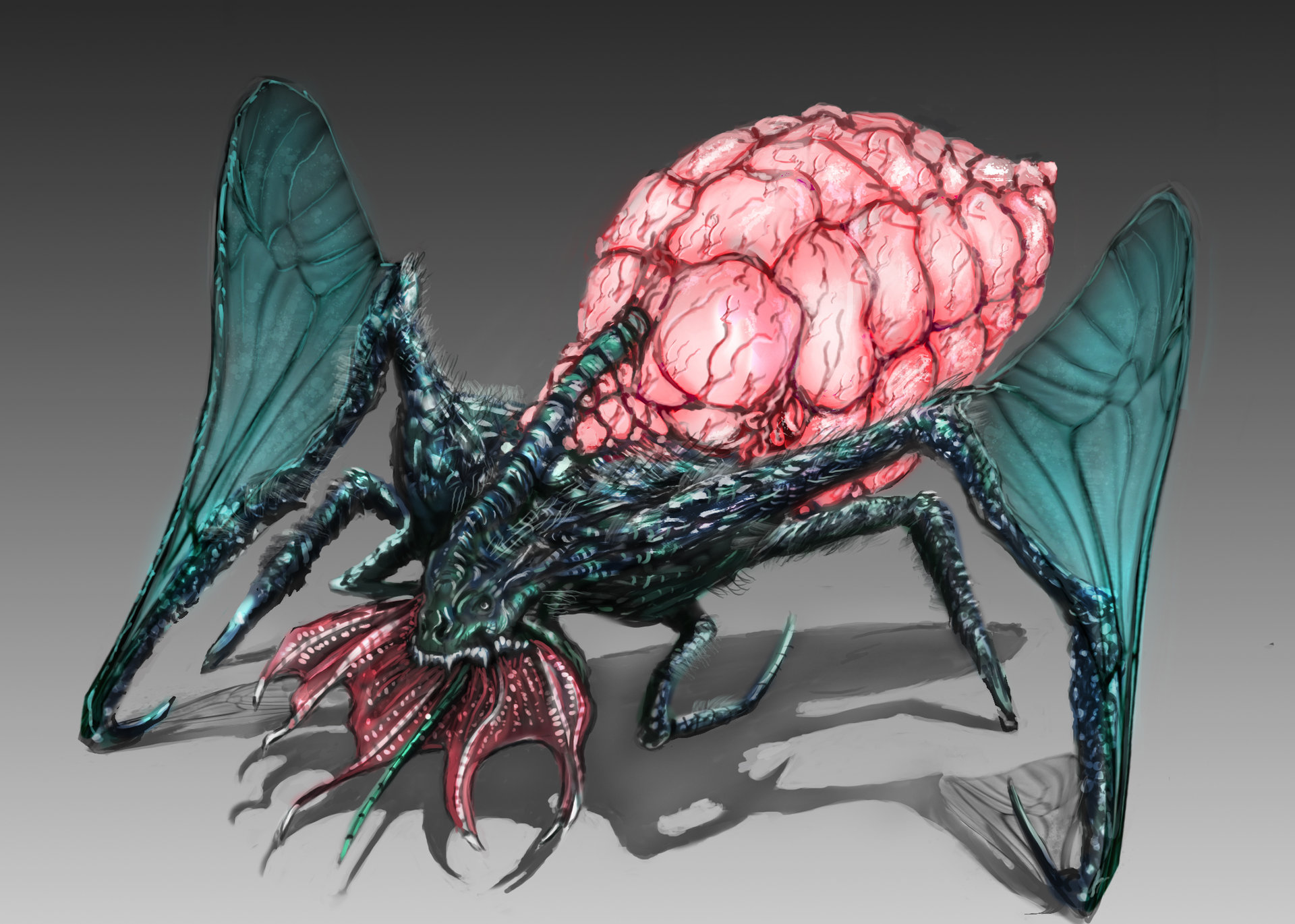ArtStation - brainstorm facebook group challenge 4 - creature design