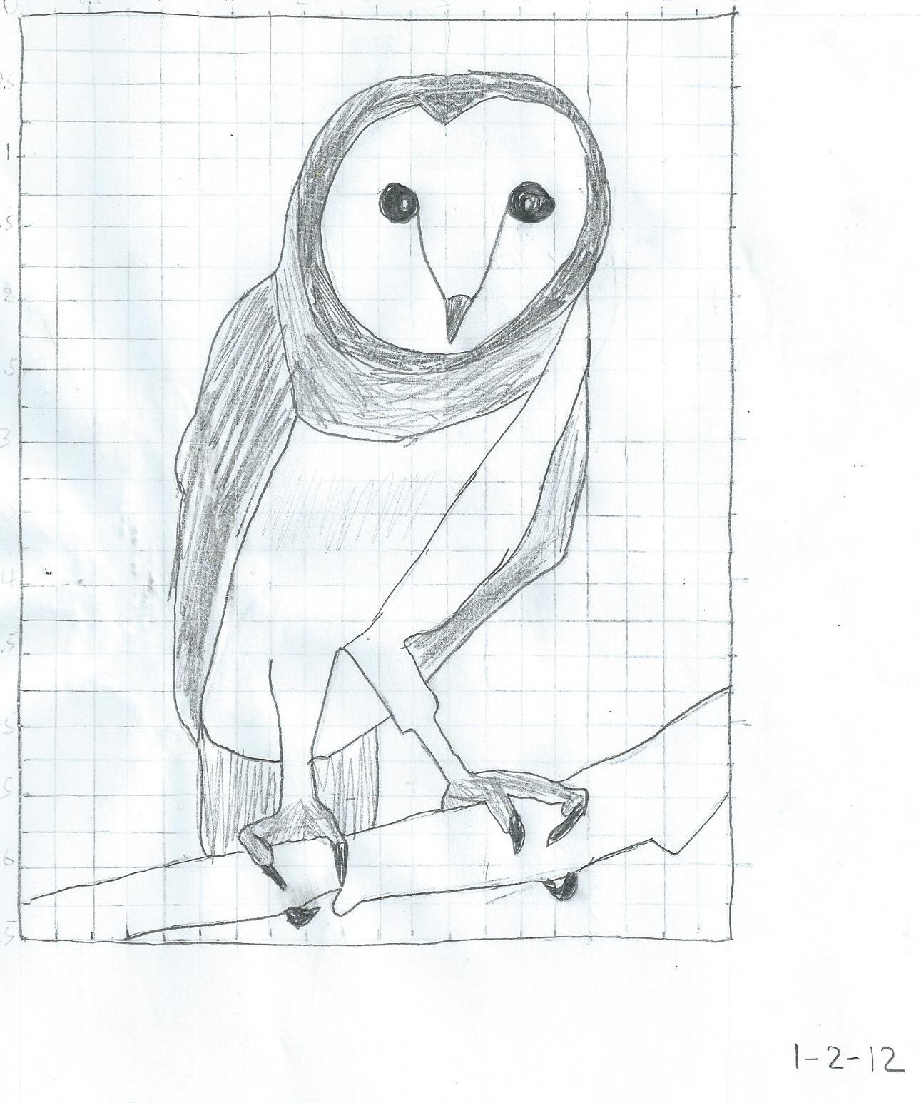 ArtStation - graphite Owl