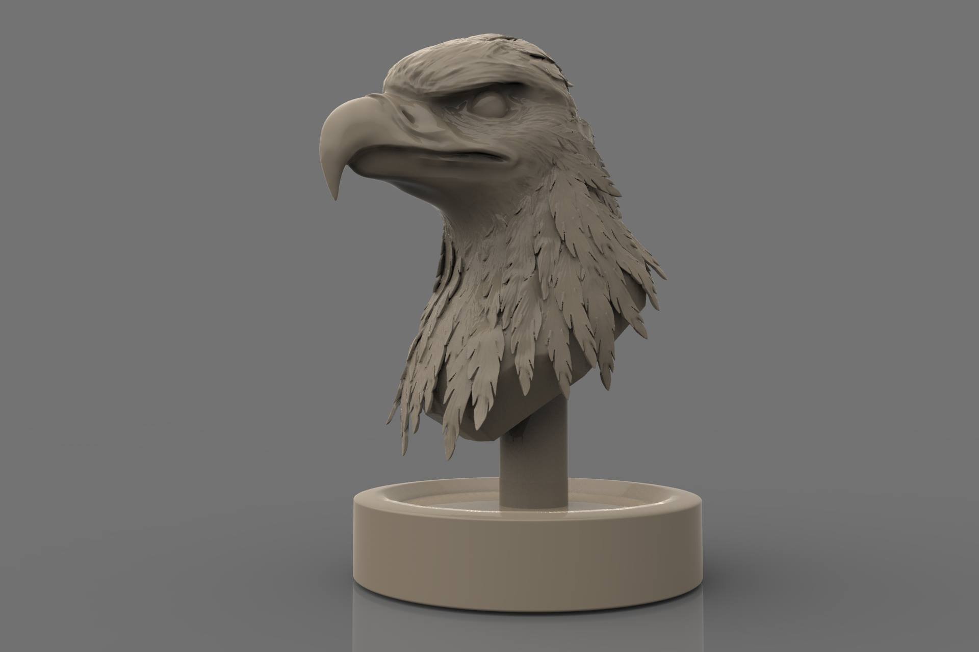 ArtStation - Eagle Study