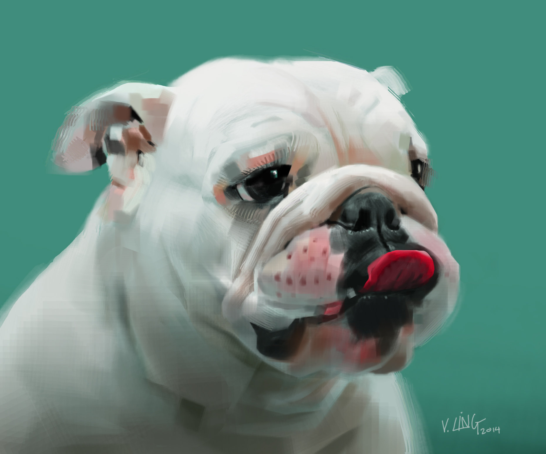 ArtStation - Bulldog Study