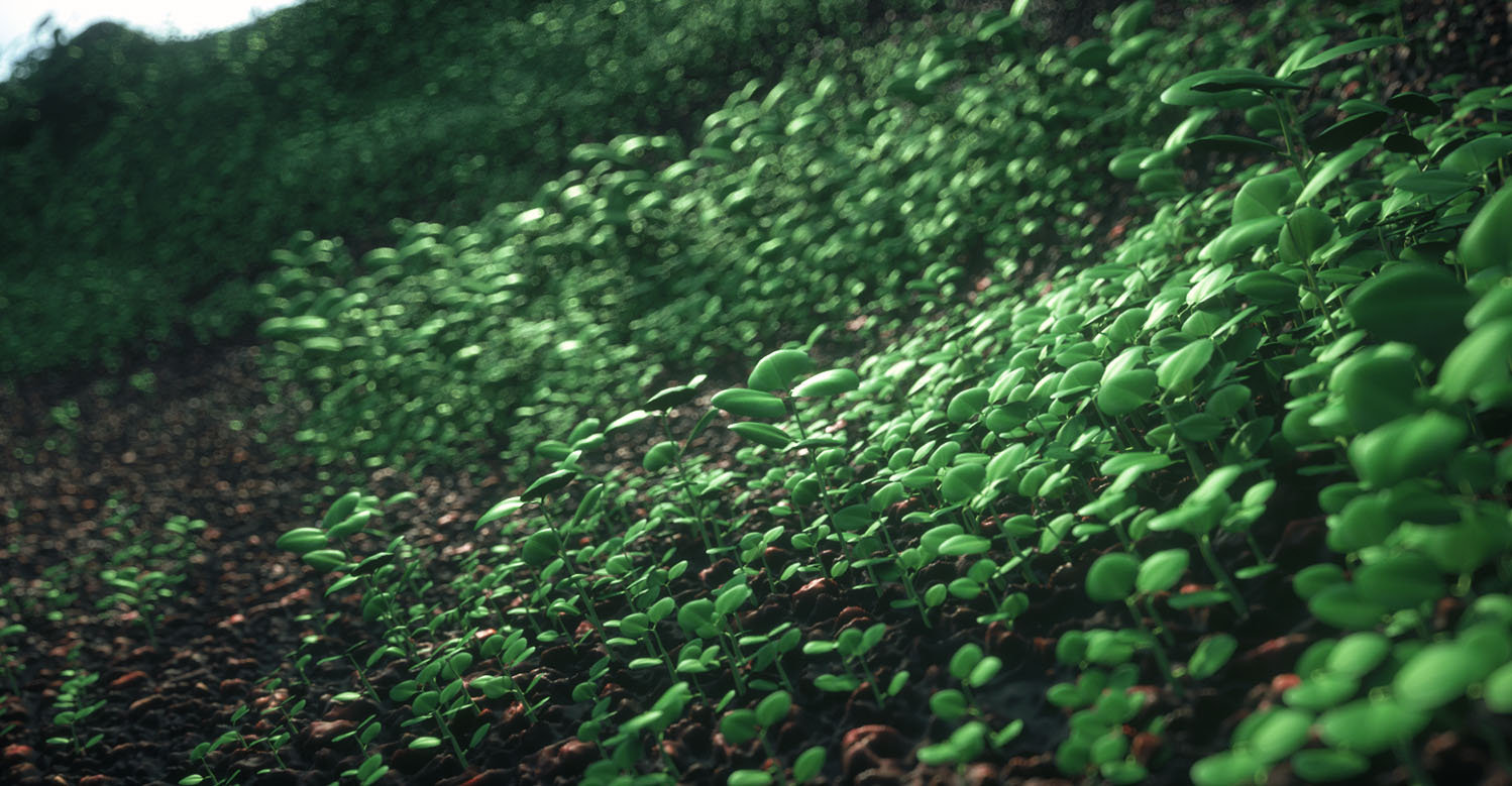 ArtStation - clover field