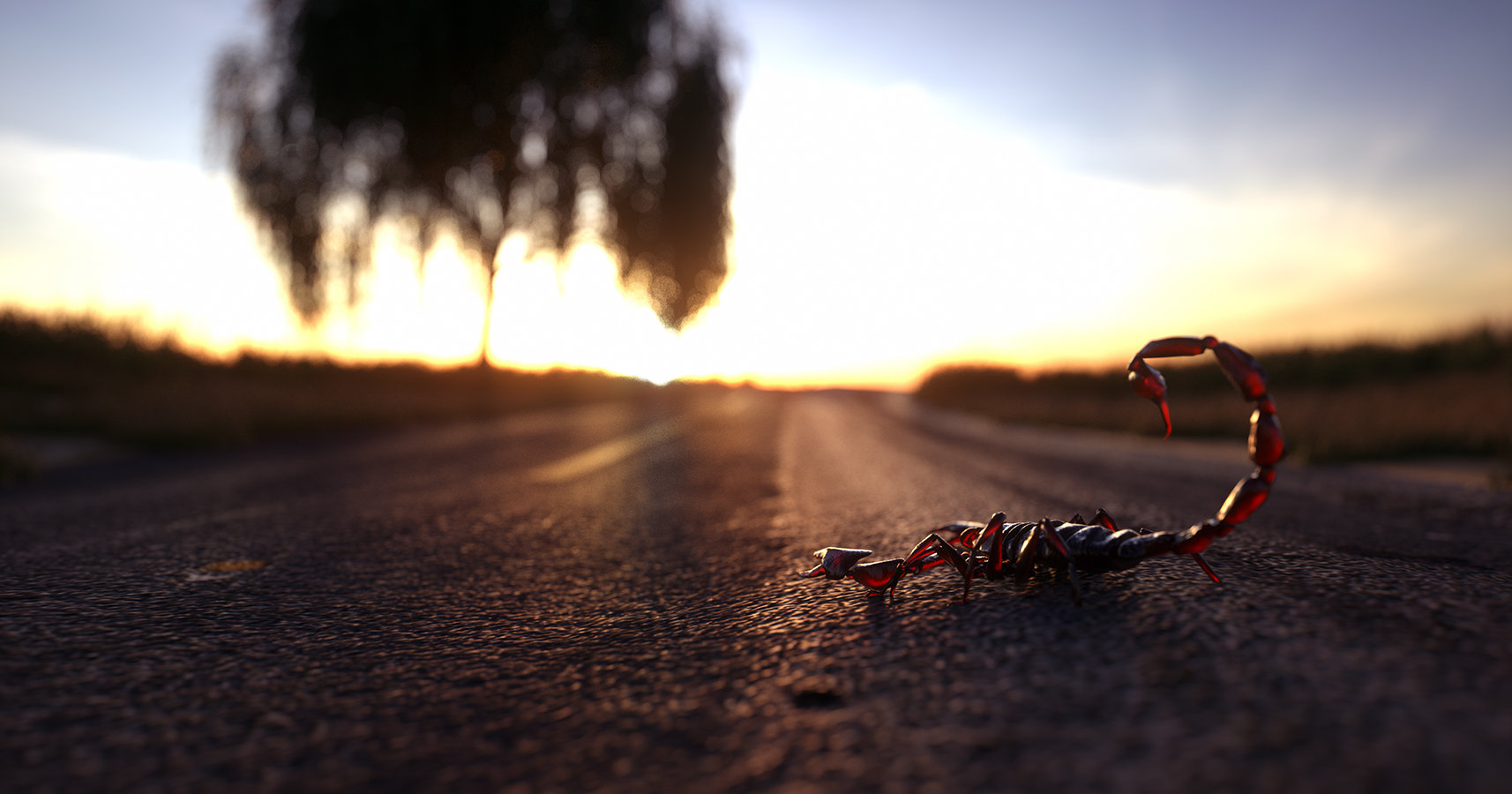 ArtStation - scorpion on the road