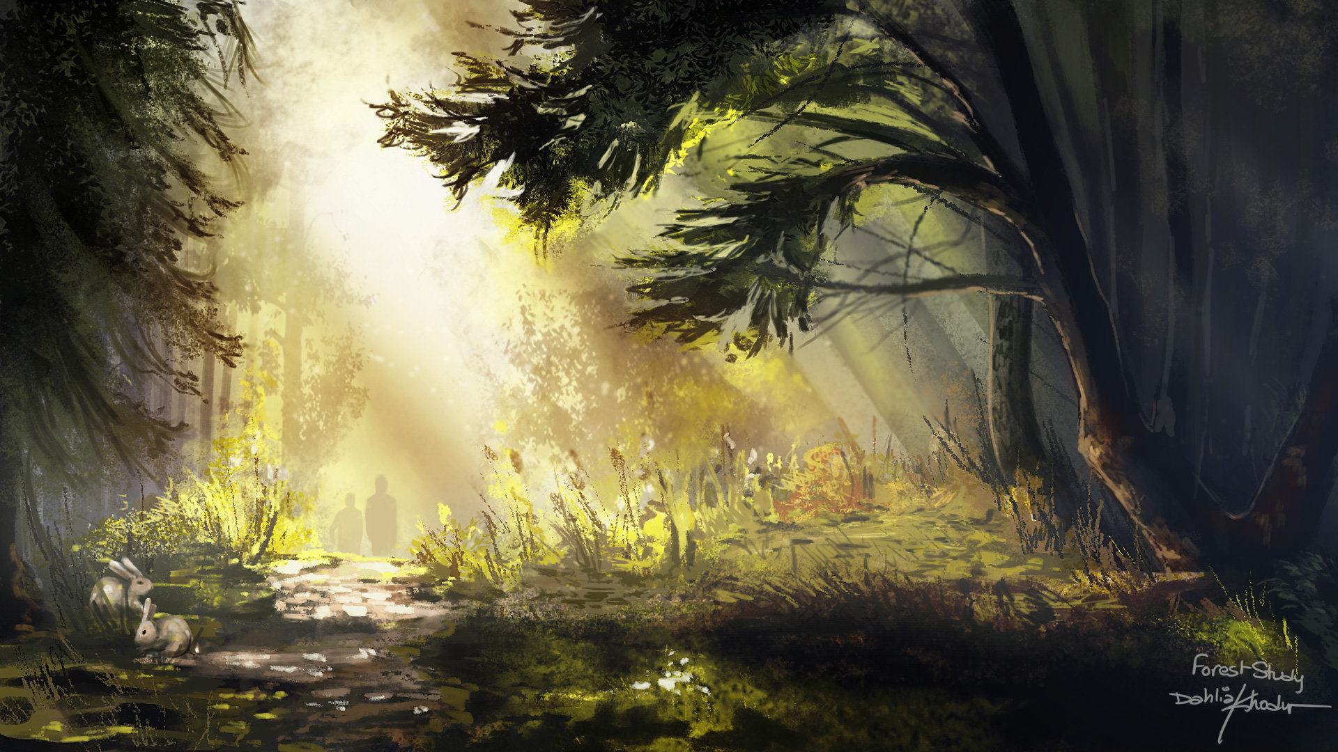 421 best Forest Path images on Pholder | Most Beautiful, Earth Porn and ...