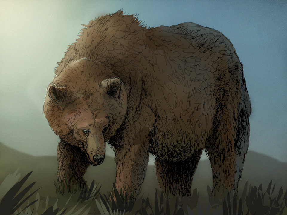 ArtStation - Bear
