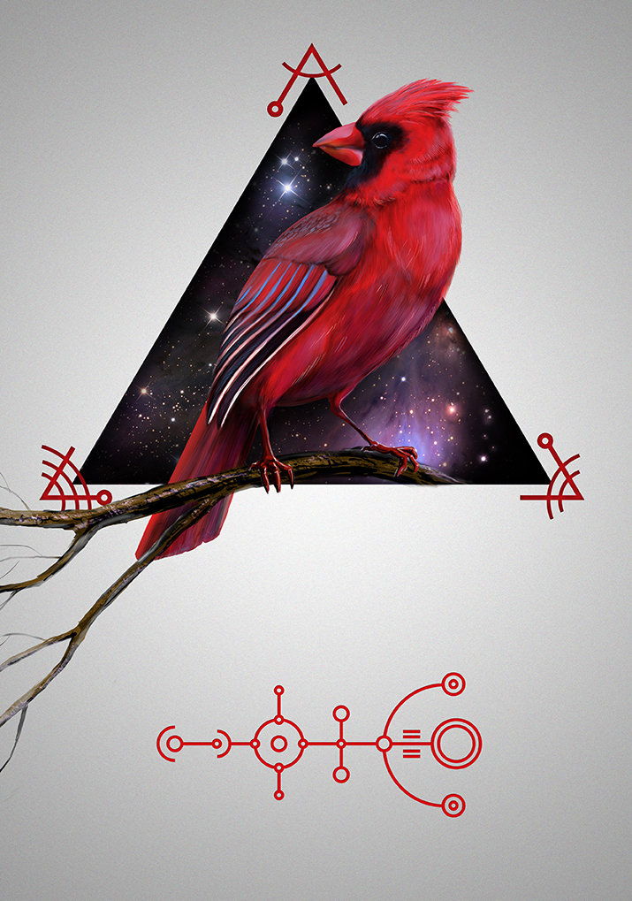 ArtStation - Cardinal