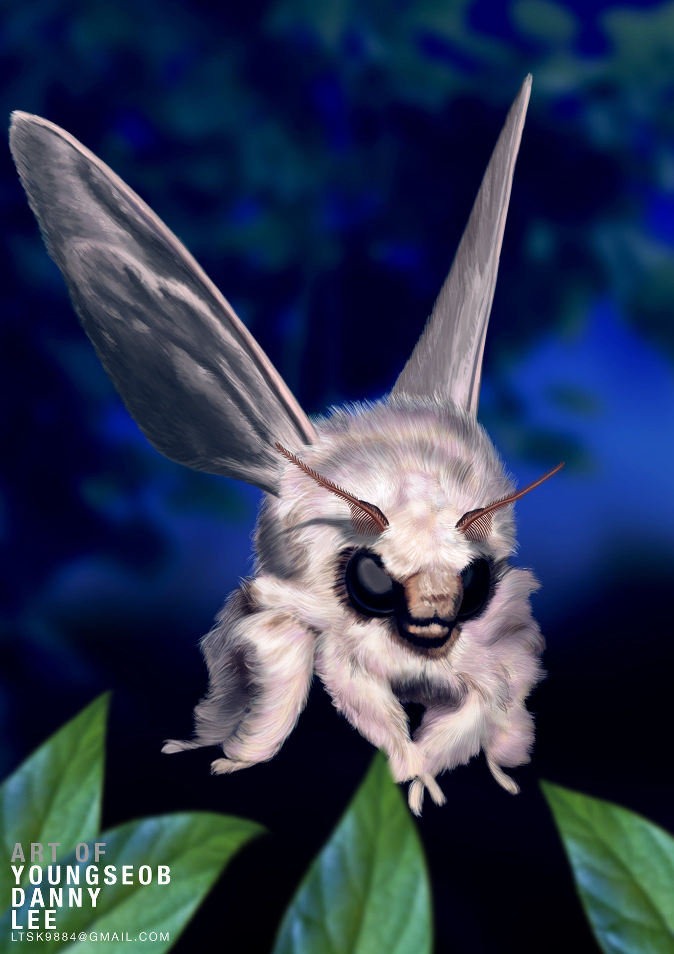 Poodle Moths
