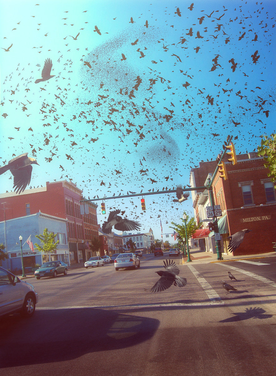 ArtStation - Birds Attack