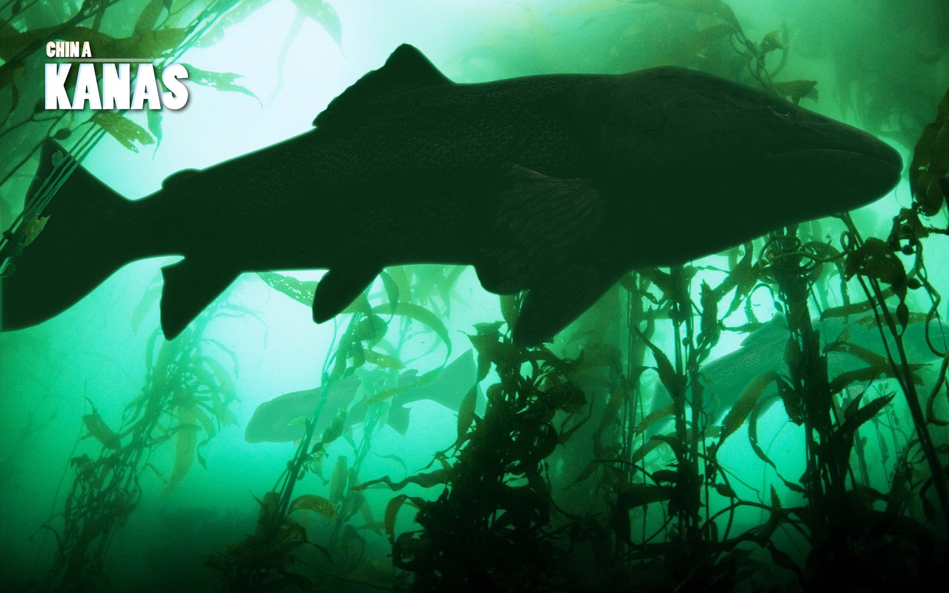 ArtStation - Monster Fish