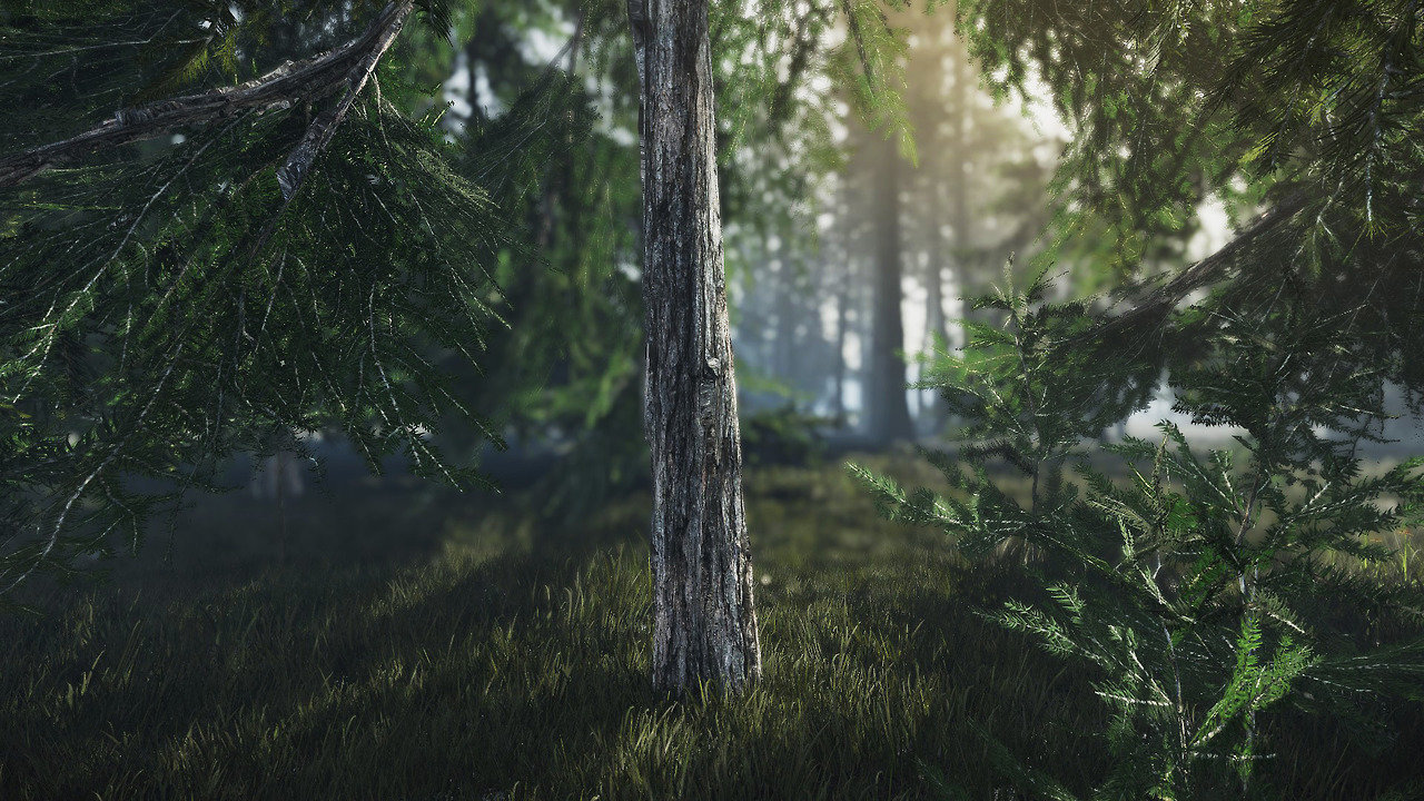 ArtStation - [CE3] Mountain Hemlock Forest