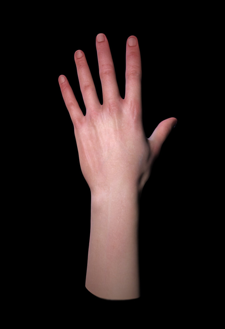ArtStation - Hand
