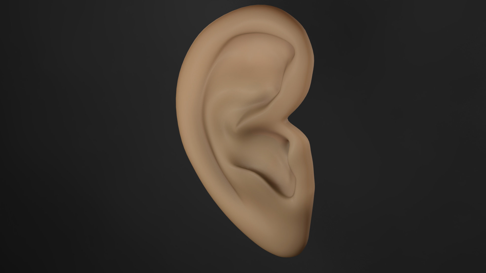 ArtStation - Ear