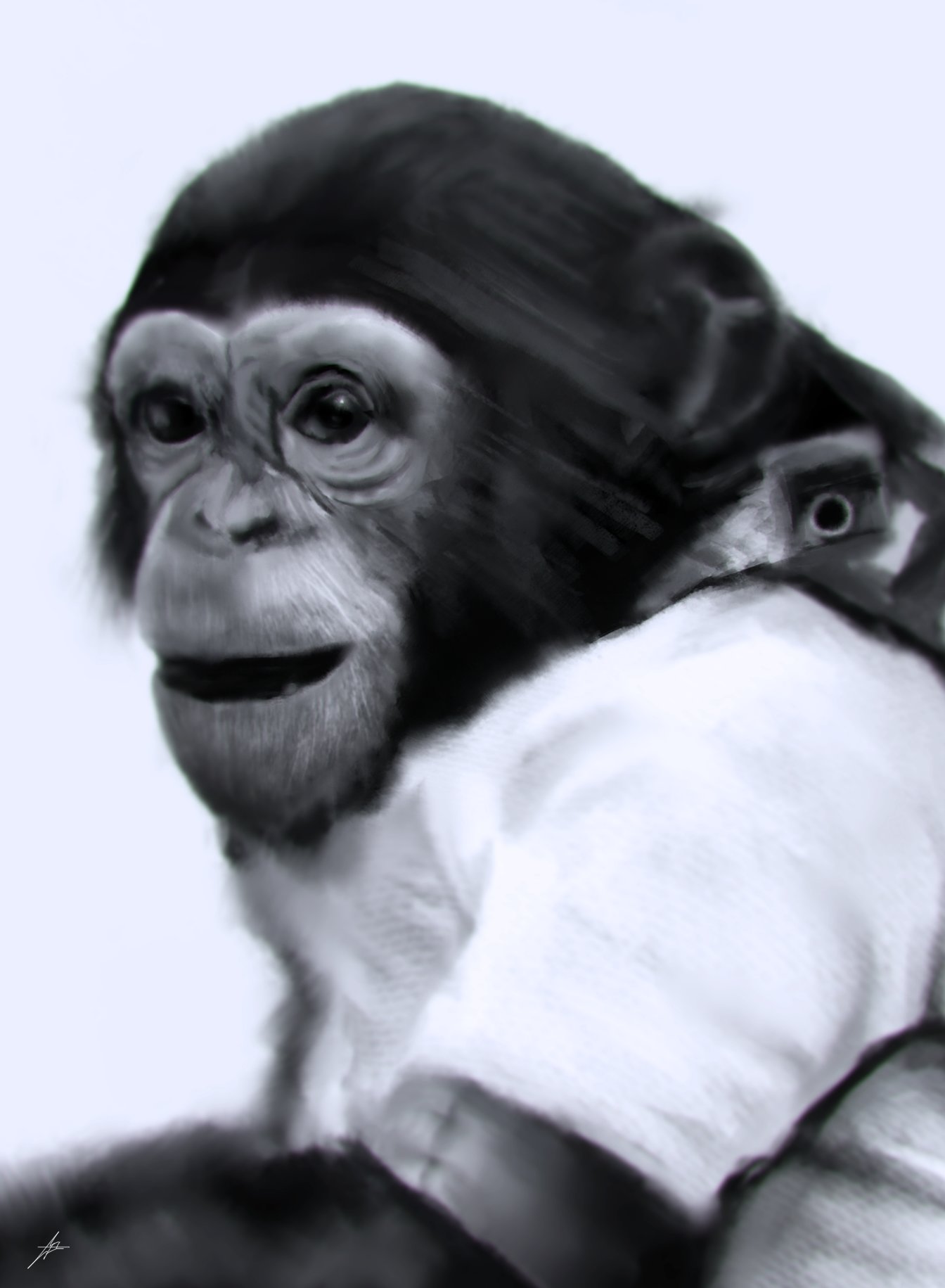 ArtStation - Chimp Study