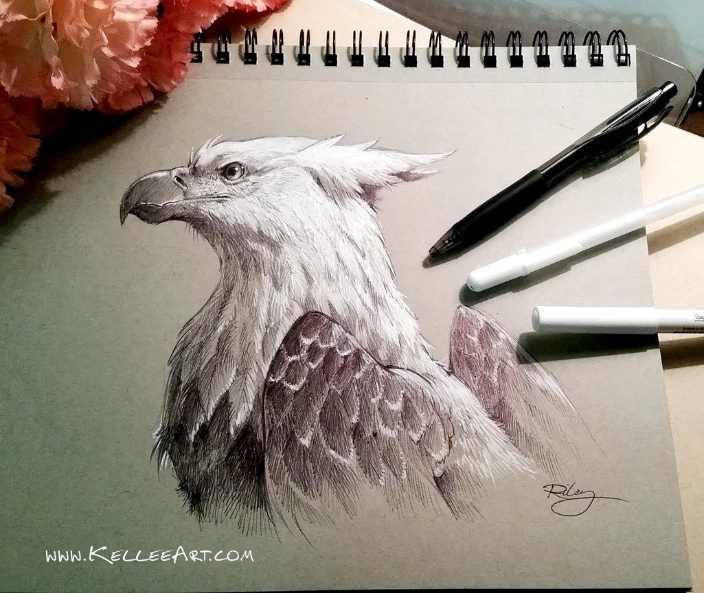 ArtStation - Gryphon study