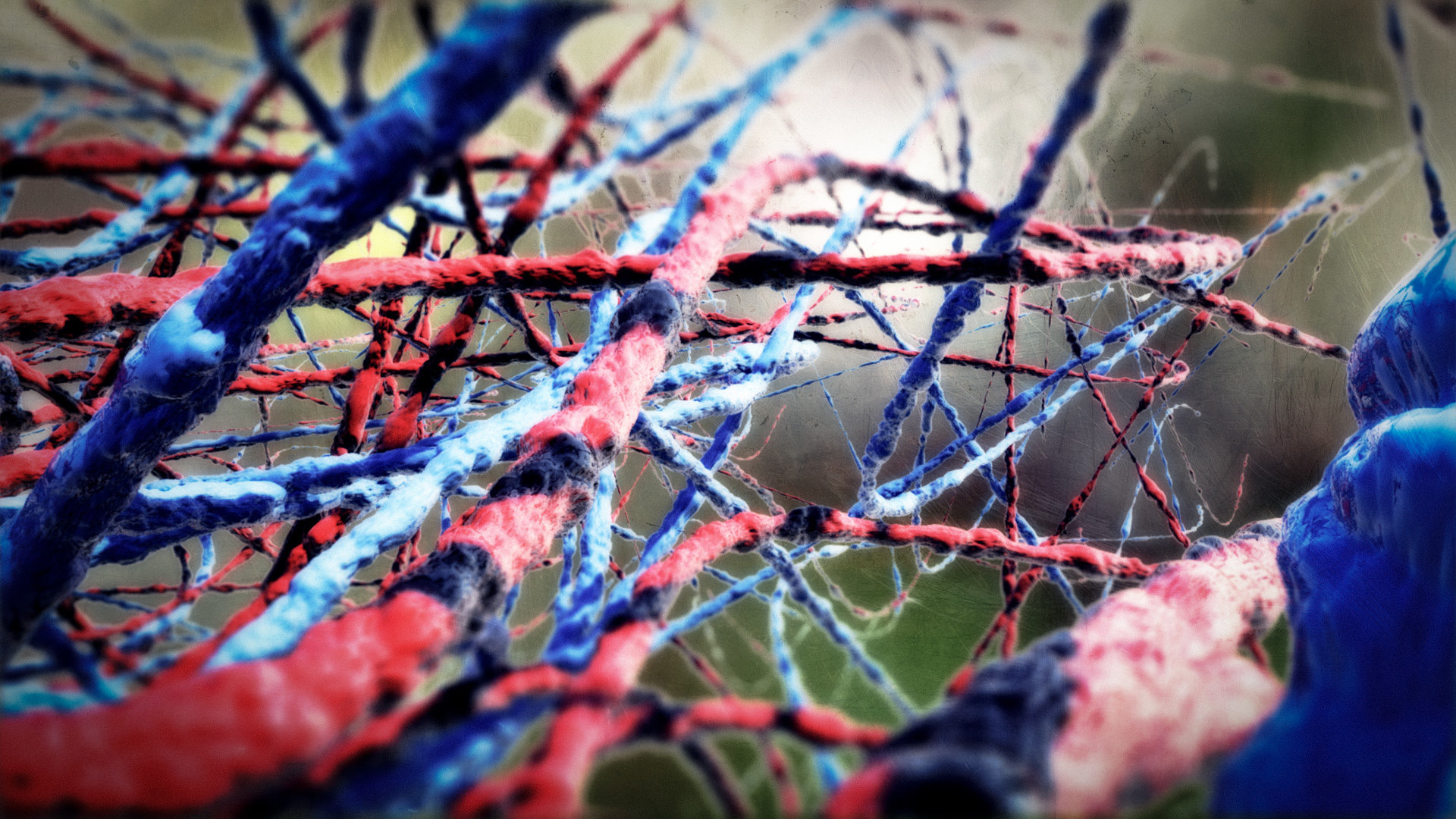 ArtStation - Tendrils