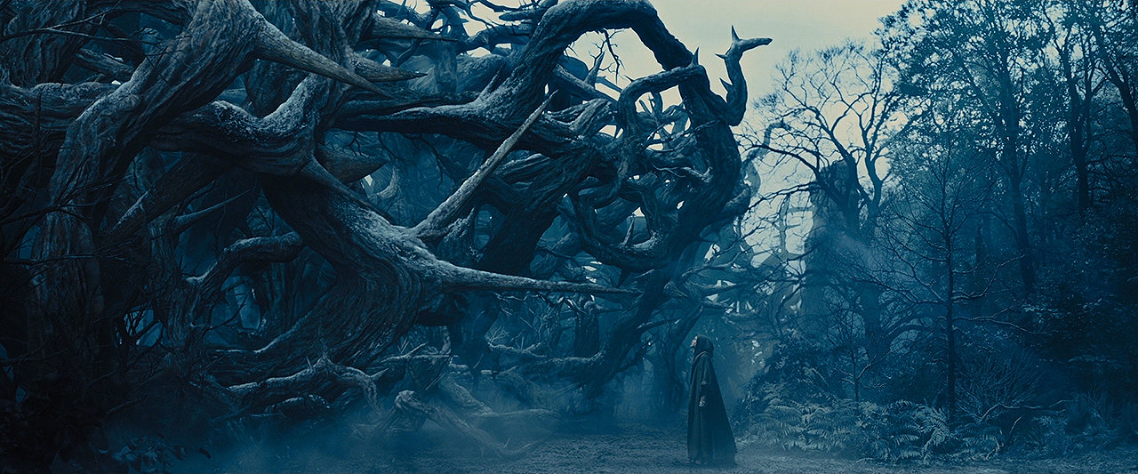 Igor Staritsin - Maleficent Matte Shot