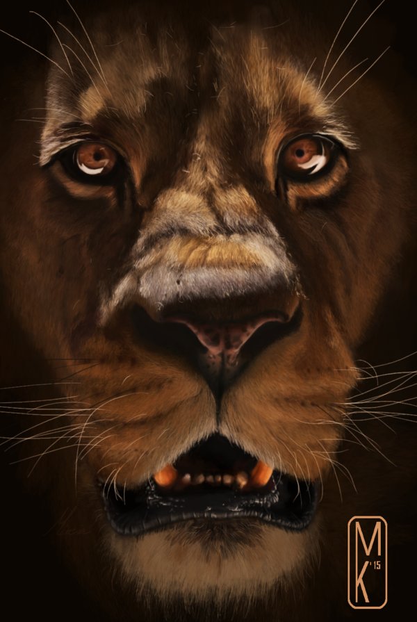 deviantart lion