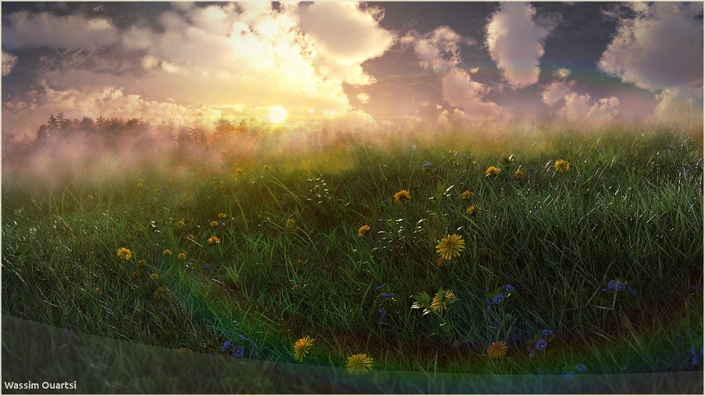 ArtStation - Grass field.