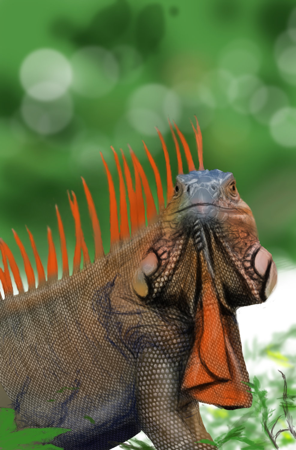 ArtStation - Green Iguana Study