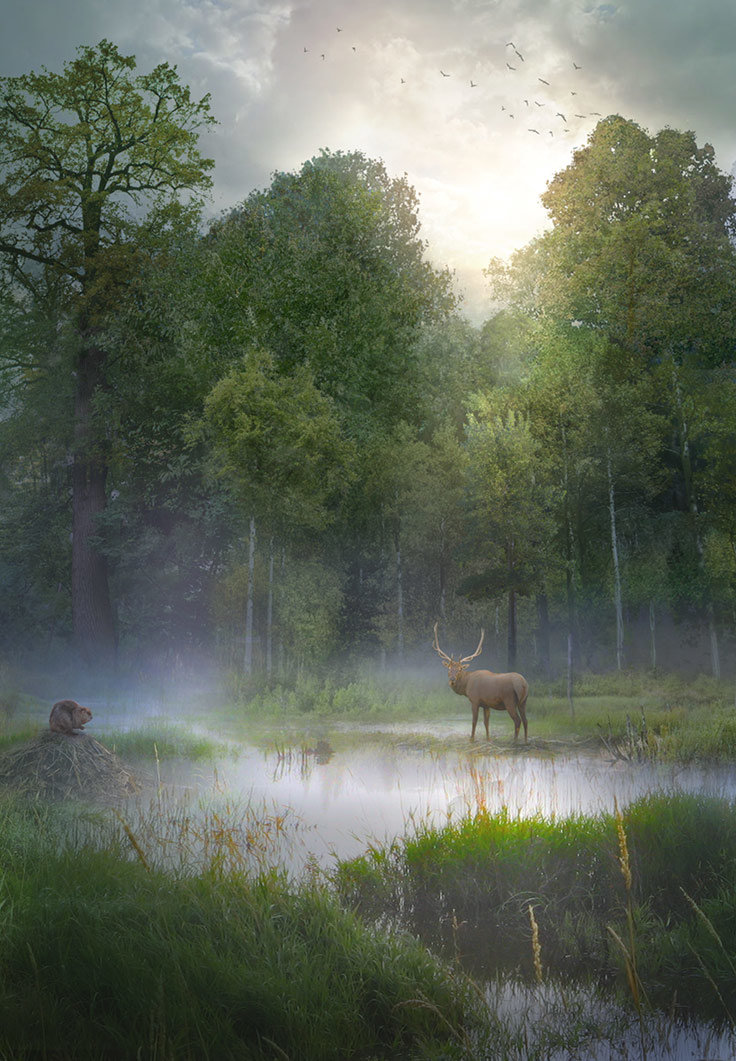 46th and Broadway by Philip Straub : r/ImaginaryForests