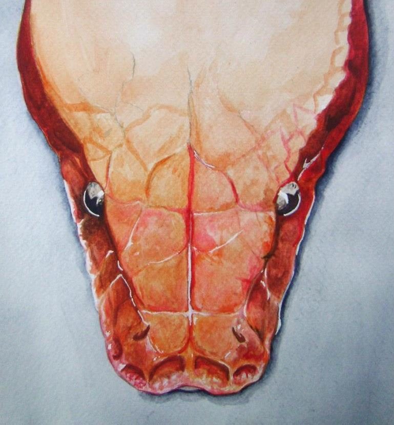 ArtStation - Cherry Bomb