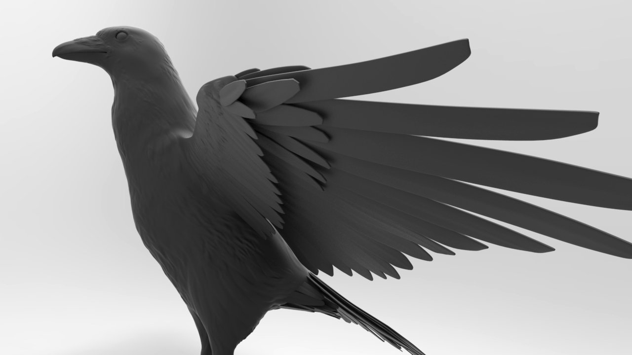 Rubes Kissack - Raven Model