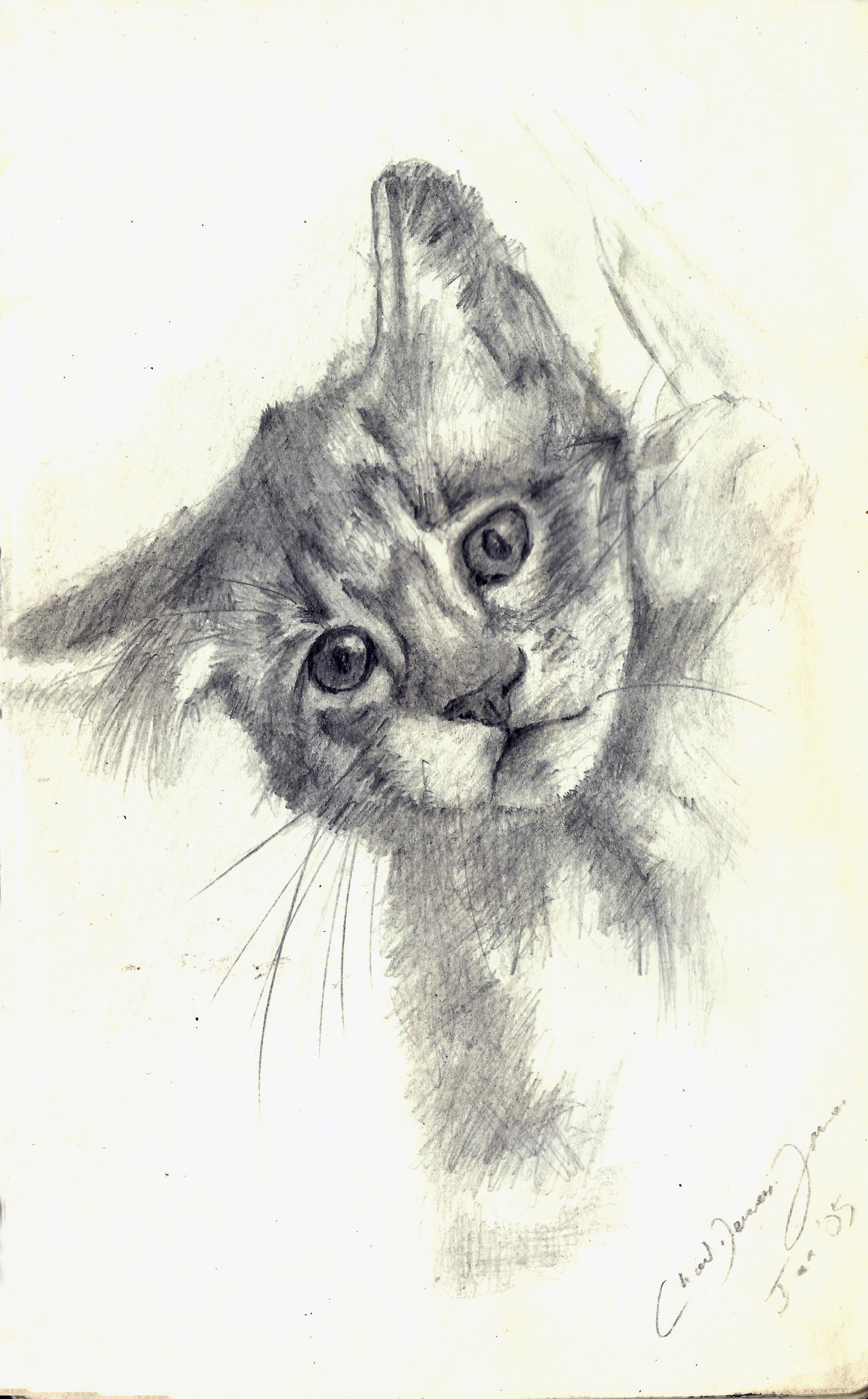 ArtStation - Cat on a branch